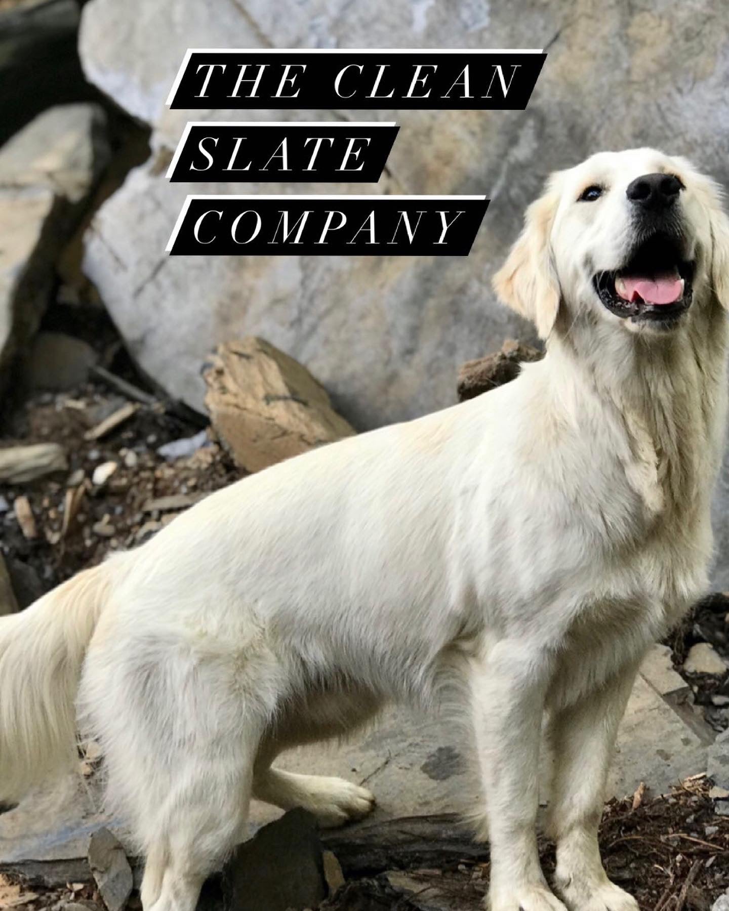 10 Pounds - Natural Slate Stone – The Clean Slate Company